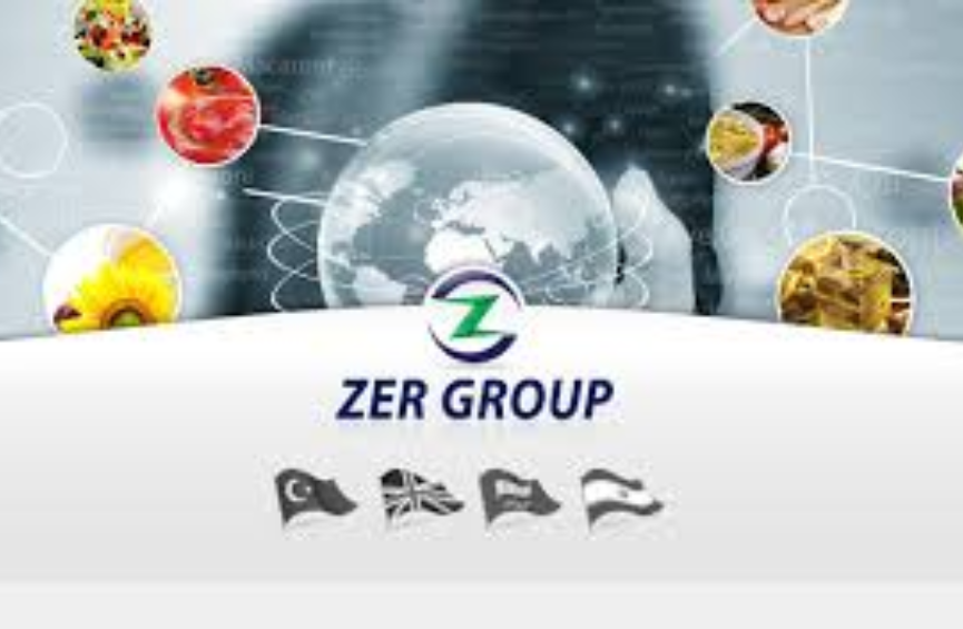 Zer Group Projesi - SendProje - Elekrik ve Elektronik Proje Sistemeleri
